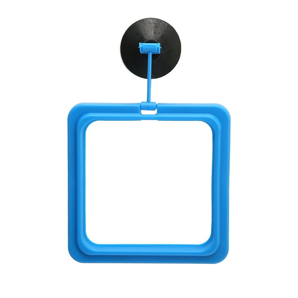 Fish Feeding Ring, Ring Round Quadrate Feeding Ring Floating Food ...