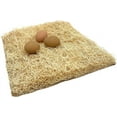 Pecking Order Chicken Nest Box Pads 13x13 Inches 10 Pack with Aspen ...