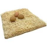 Pecking Order Chicken Nest Box Pads 13x13 Inches 10 Pack with Aspen ...
