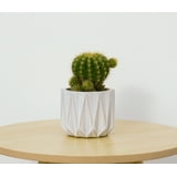 Better Homes & Gardens Pottery 5" Devi Round Ceramic Planter, White ...