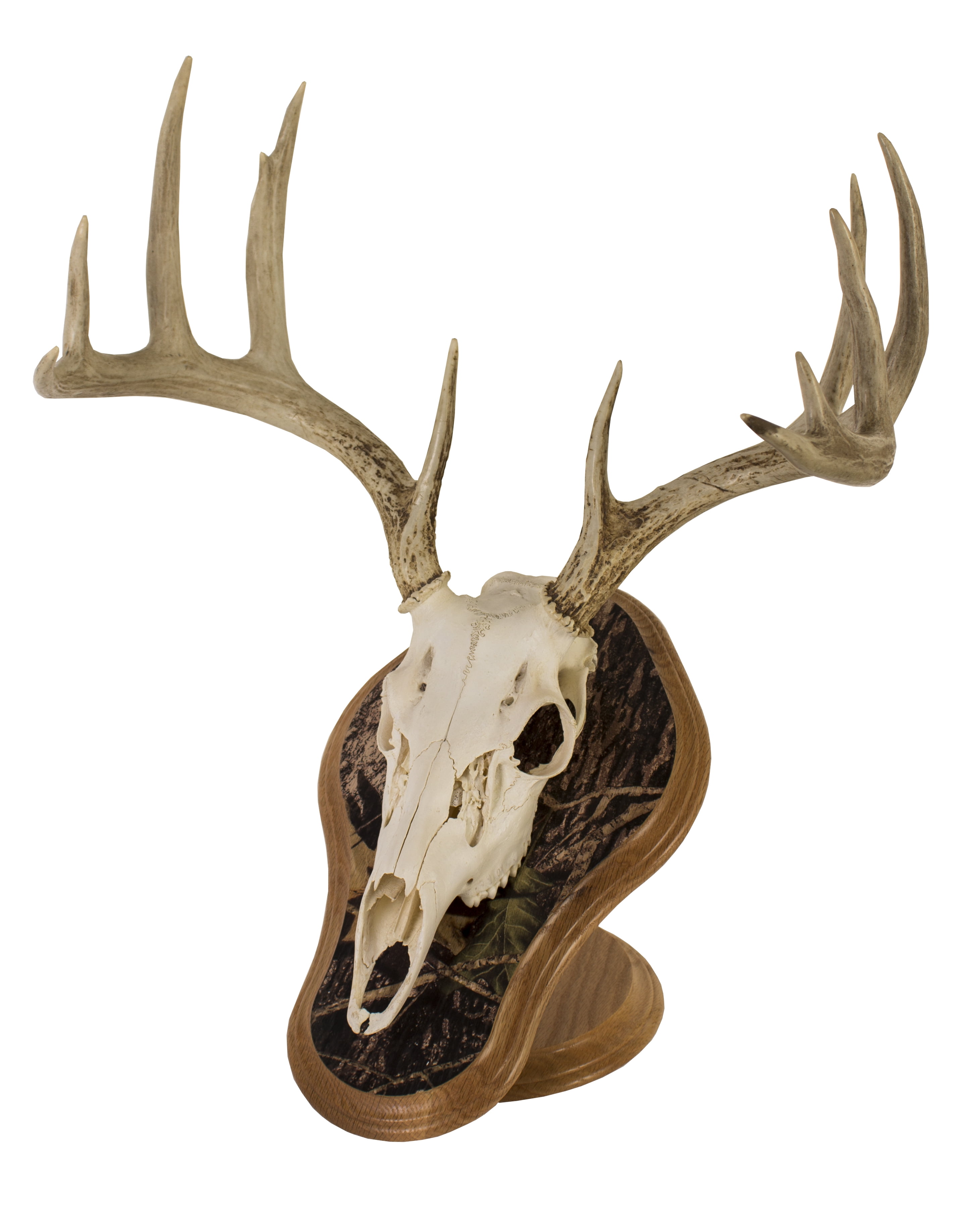 Camo Deer Skull Mount