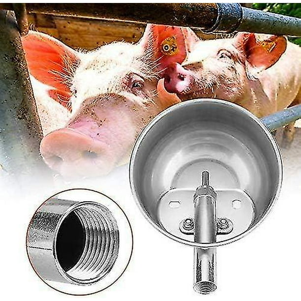 Stainless Steel Automatic Farm Grade Livestock Waterer Waterer For ...