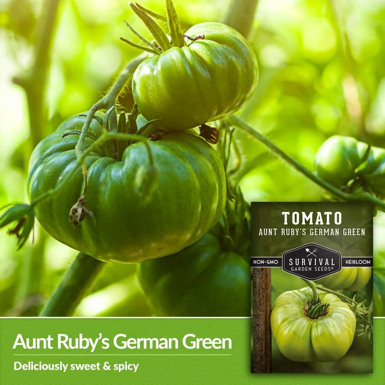 Aunt Rubys German Green Tomato