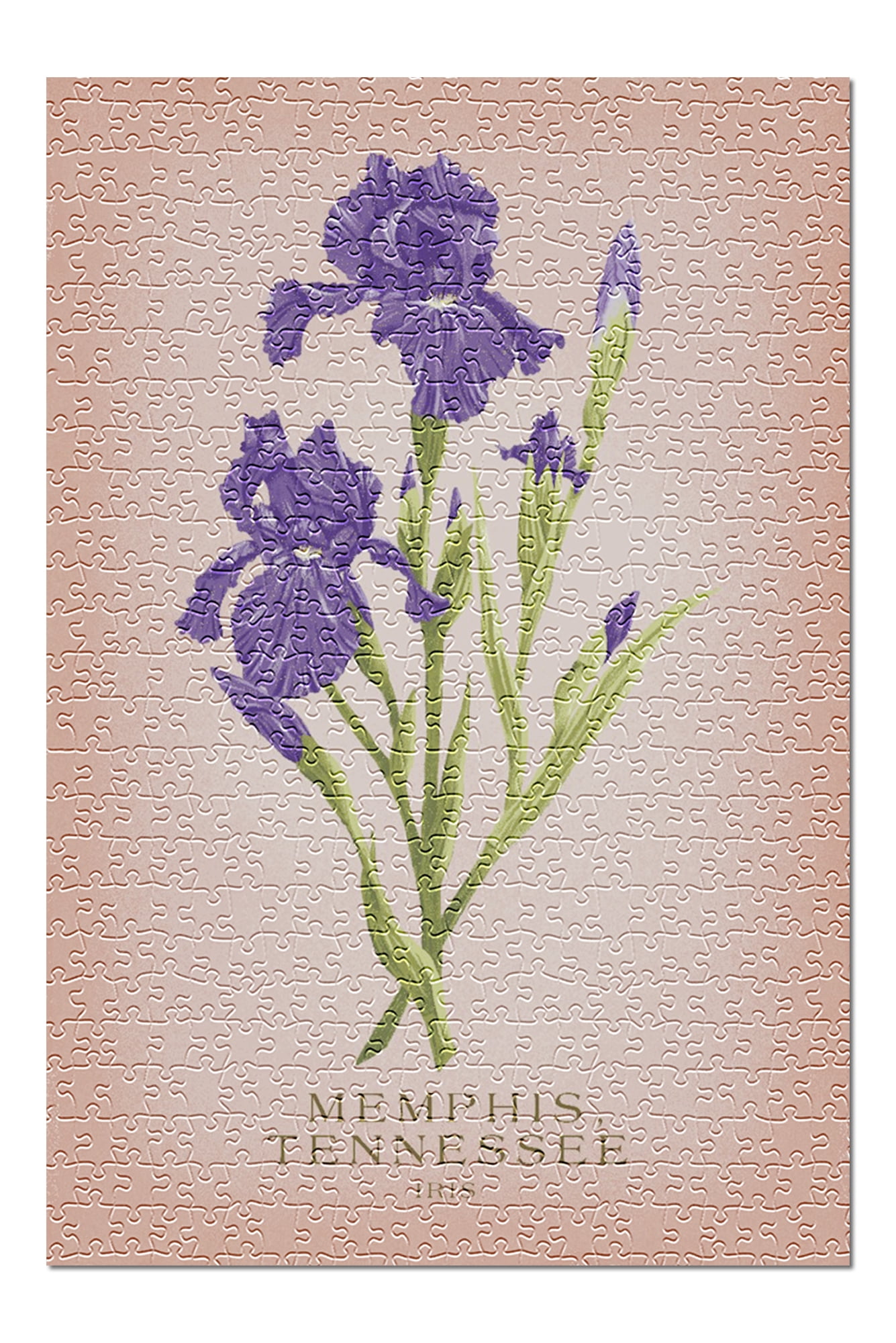 Memphis, Tennessee, Vintage Flora, State Series, Iris (19x27 inches ...