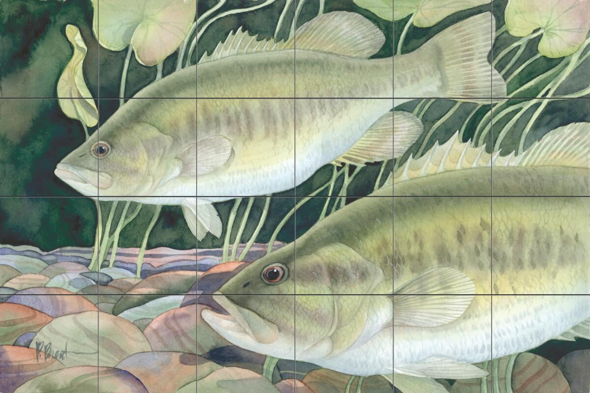 Tile Mural Bathroom Backsplash - Largemouth Bass - by Paul Brent ...