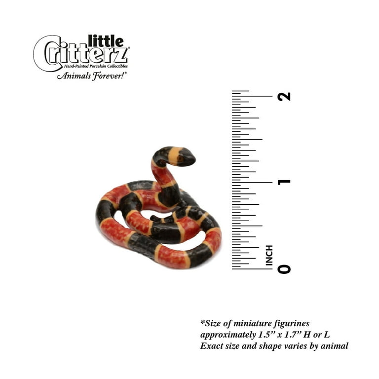 Coral Snake Rhyme