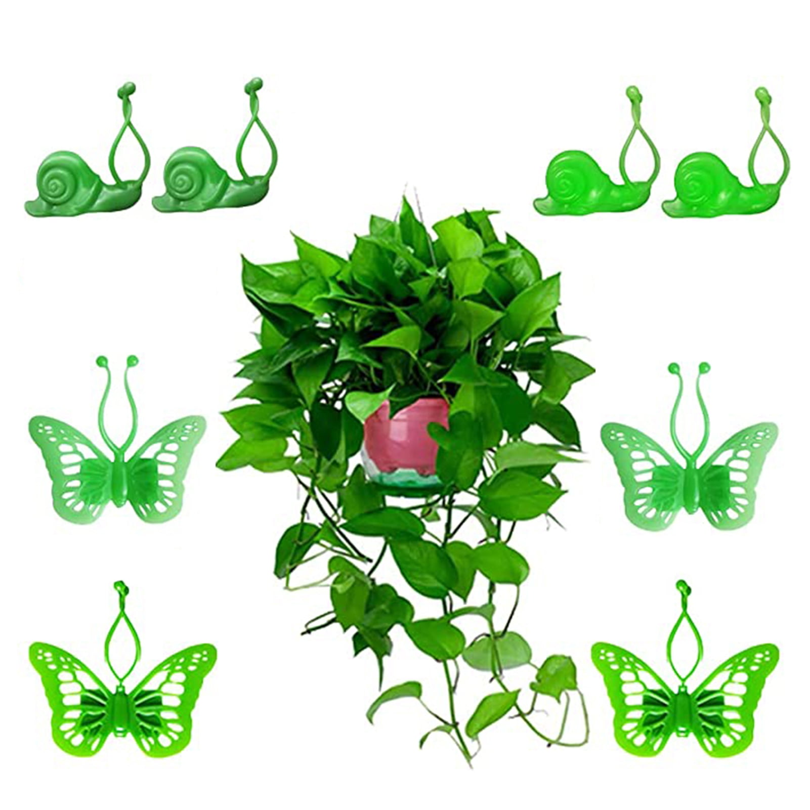 Washranp 20Pcs Climbing Plant Wall Clips,Snail Butterfly Shape ...
