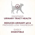 Purina ONE High Protein, Urinary Tract Health Formula Dry Cat Food ...