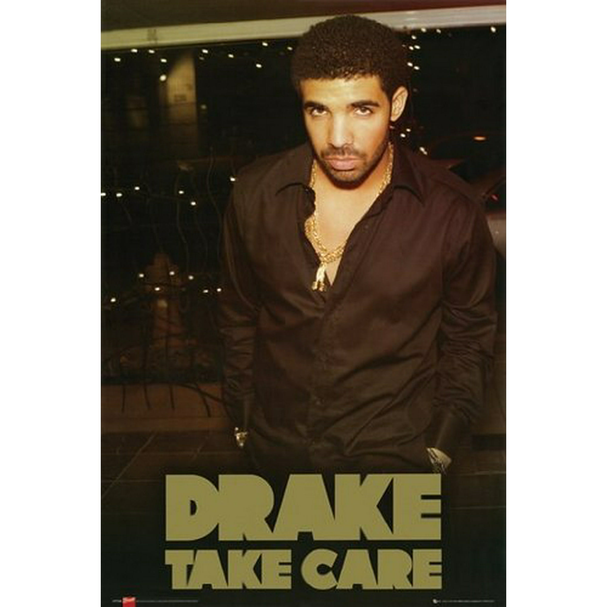 Drake Poster