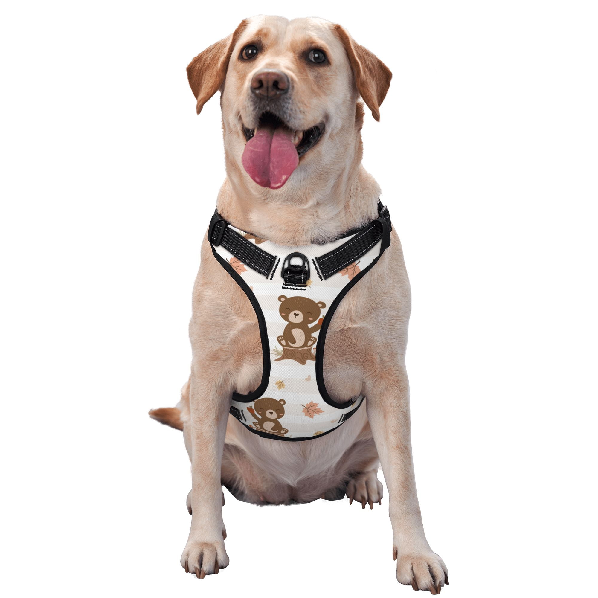 XMXY No Pull Dog Harness, Cute Cartoon Bear Autumn Adjustable ...