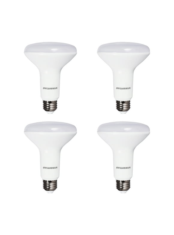 Bulged Reflector Light Bulbs in Shop Light Bulbs by Shape - Walmart.com