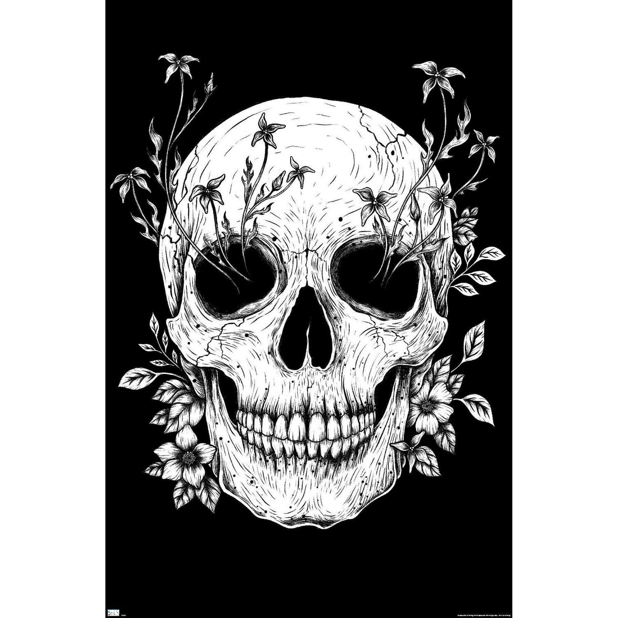 Click here for Trends International Episodic Drawing - Floral Sku... prices