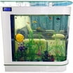 Black Luxury 125Gal LED Aquarium Kit, Large Glass Fish Tank with Tri ...
