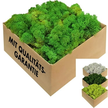 Preserved Sheet Moss 112.5 Cubic Inches- - Walmart.com
