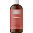 Maple Holistics Moroccan Argan Oil Shampoo - Sulfate Free for Dry ...