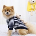 Cozy Bear Pocket Pet Sweater Guard Warm Clothes For Small Dogs And Cats ...