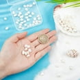 2 Strands Natural Cultured Freshwater Pearl Beads Strands Oval Beige 8. ...