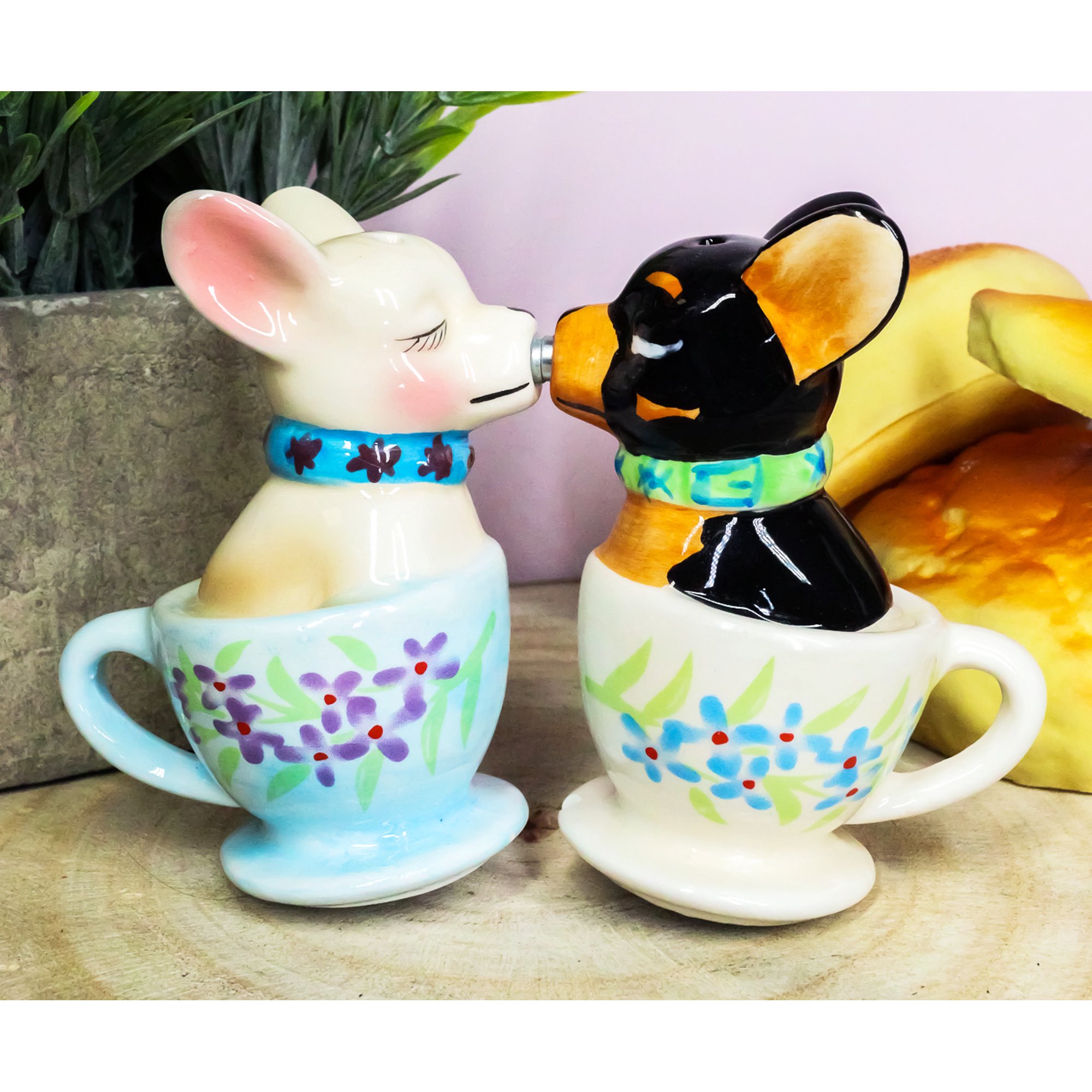 Black Teacup Chihuahuas