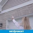 Wet & Forget Miss Muffet's Revenge Spider Killer - Walmart.com