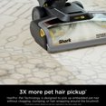 Shark CarpetXpert 2-in-1 Upright Deep Carpet Corded Vacuum, with ...