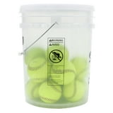 Free Shipping! Athletic Works Softballs Set of 12 in 5-Gallon Bucket ...