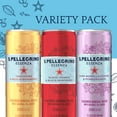 Flavored Mineral Water, Variety Pack Cans, 11.15 Fl Oz, Pack of 24 ...