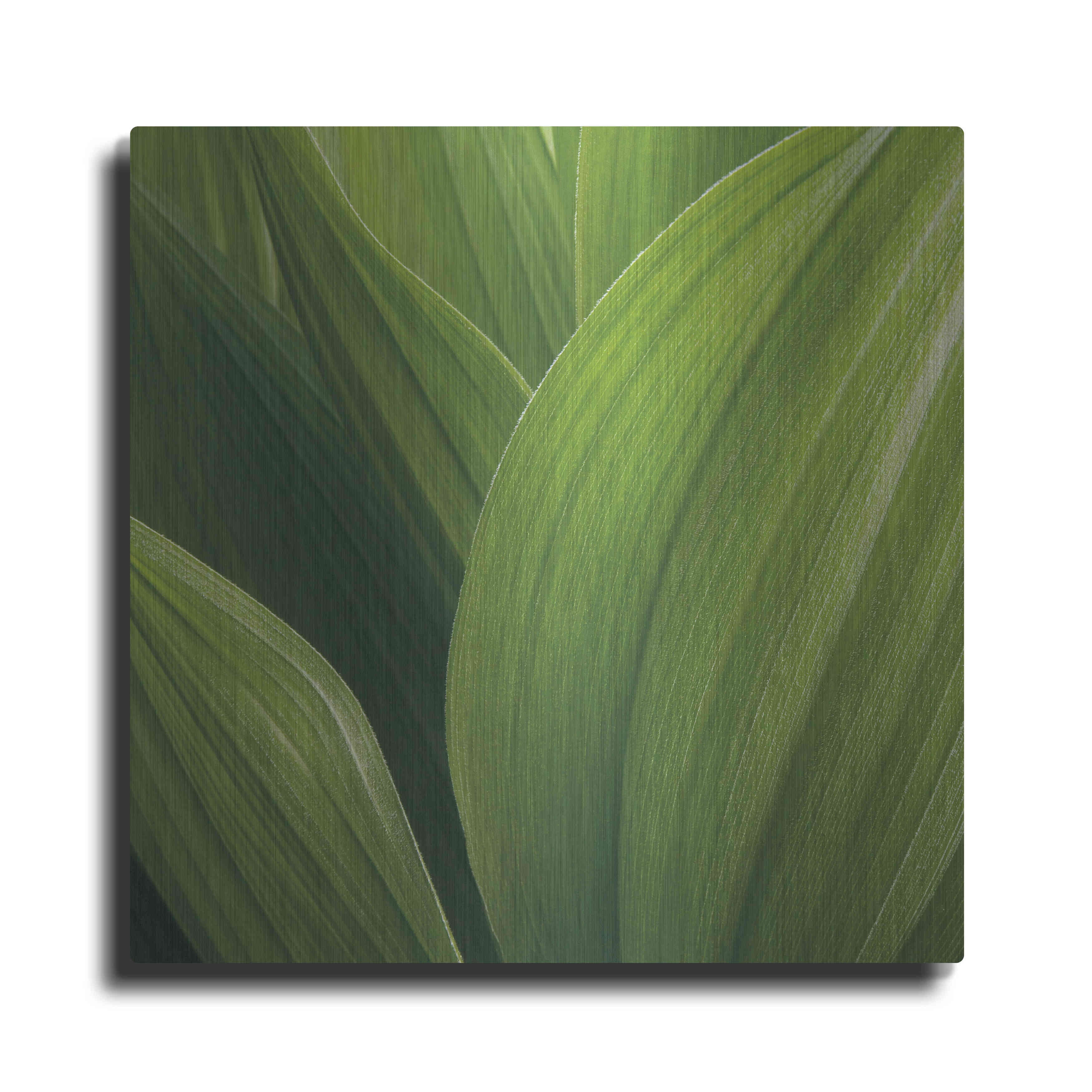 Luxe Metal Art 'Corn Lily' by Jan Bell Metal Wall Art, 12"x12 ...