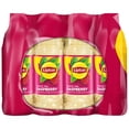 Lipton White Tea Raspberry 16.9 Fl Oz 24 Count - Walmart.com