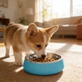 304 Stainless Steel Pet Bowl, Slow Feeder for Small Medium Dogs Cats ...