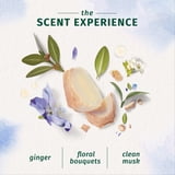 Herbal Essences Bio:Renew Blue Ginger Shampoo, Refresh & Volumize, 13.5 ...