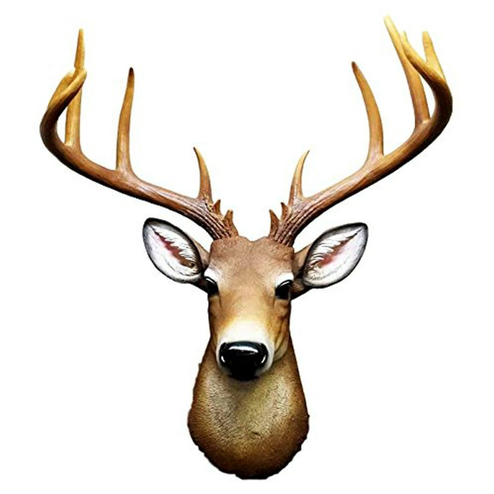 LARGE 14 POINT MAJESTIC DEER BUCK BUST HANGING WALL MOUNT PLAQUE ...