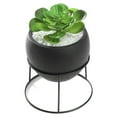 K-Cliffs Black Round Cement Succulents Container 5.6 inch Minimalistic ...