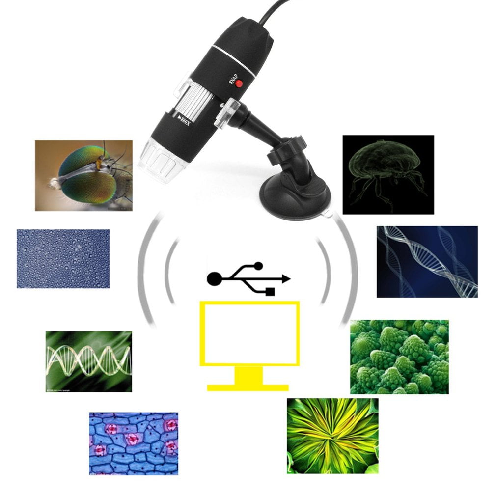 1600X HD Electronic Magnifier Handheld Digital Microscope Industrial ...