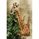 Design Toscano African Giraffe Trophy Wall Sculpture - Walmart.com