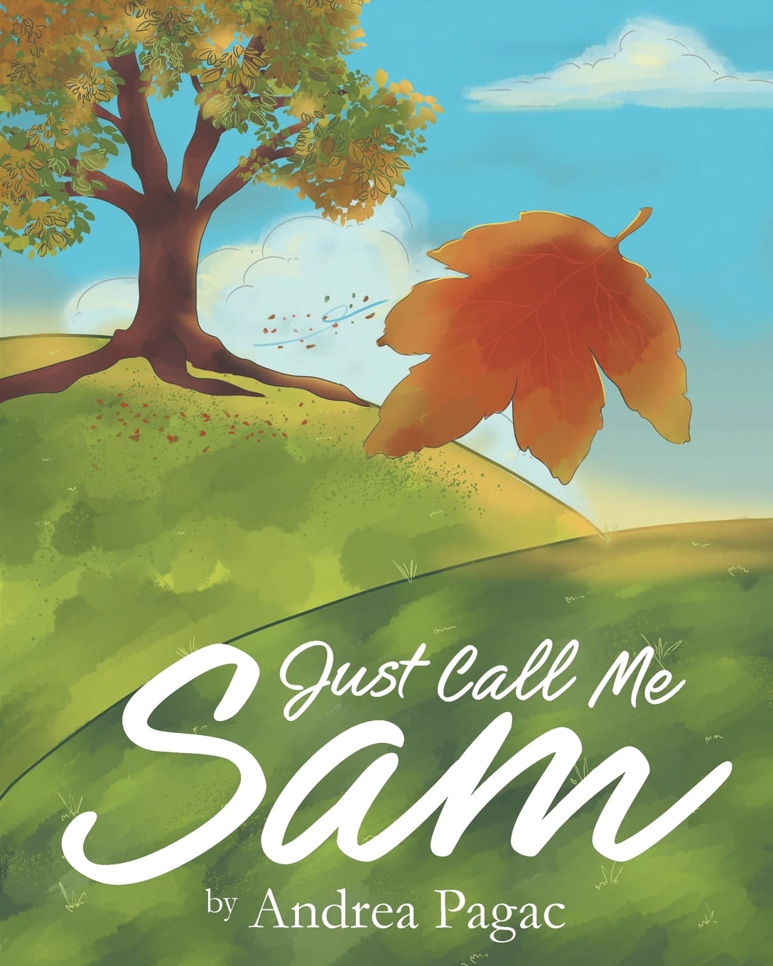 Just Call Me Sam (Paperback) - Walmart.com
