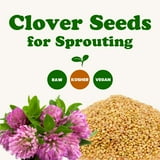 Clover Seeds, 1 Pound — Sproutable, Kosher, Raw, Vegan — by Food to ...