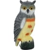 Falcon Decoy Bird Repellent Predator Flashy Reflective Eyes Owl Decoy ...