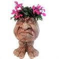 Homestyles Stone Wash Grumpy the Muggly Face Humorous Statue Planter ...