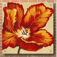 Epic Art 'Parrot Tulip I' by Tim O'Toole, Acrylic Glass Wall Art, 36 ...