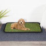 Ottomanson Pet Care Non-Slip Easy Clean Indoor/Outdoor Tray with ...
