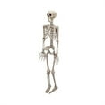 Walmart 35'' Poseable Full Size Human Skeleton Halloween Decor ...