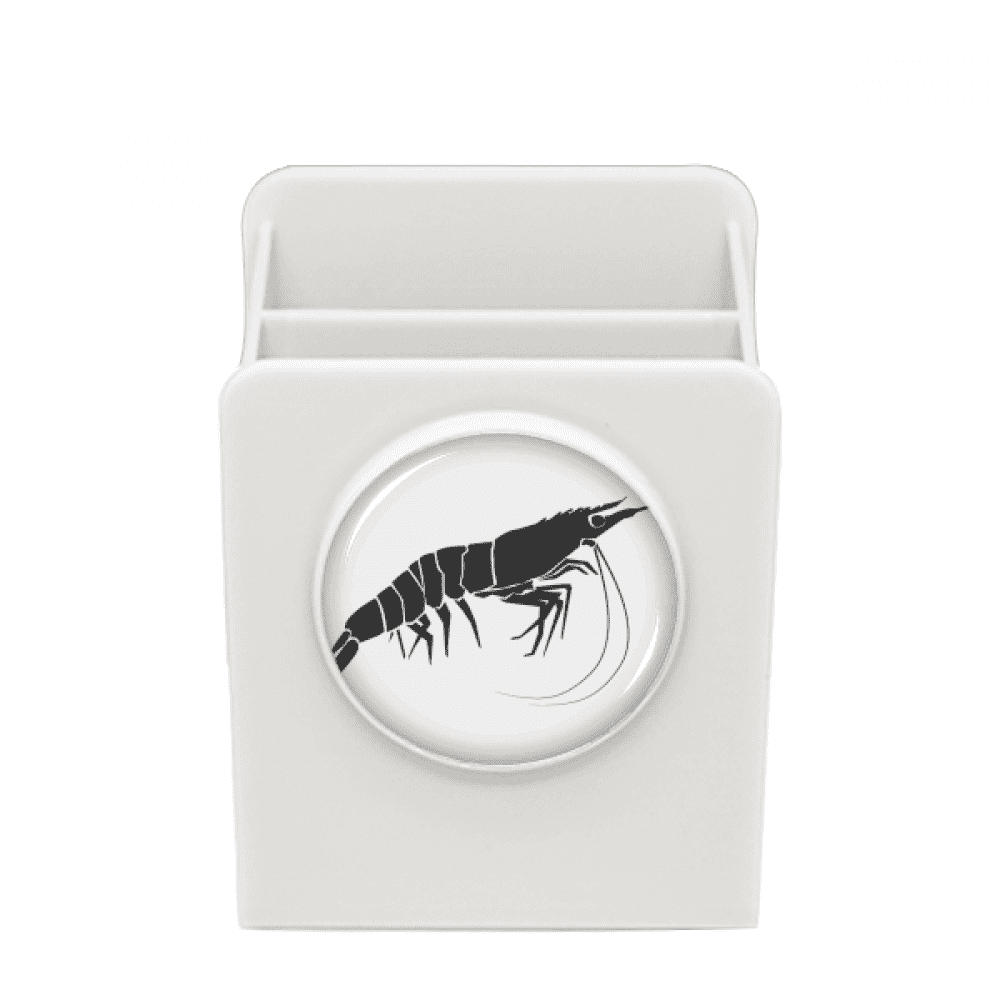 Discover World Shrimp Marine Organism Desk Pencil Holder Cup Pen ...