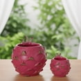 Succulents Pots with Drainage Hole,Indoor/Outdoor Pitaya Planter,Lovely ...