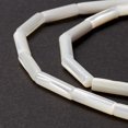 1 Strand Natural Trochid Shell/Trochus Shell Beads Straight Tube ...