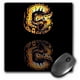 3dRose Ball Python, Mouse Pad, 8 by 8 inches - Walmart.com