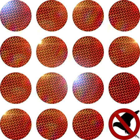 Bird Deterrent Window Decals for Bird Strikes, Prevent Birds from ...