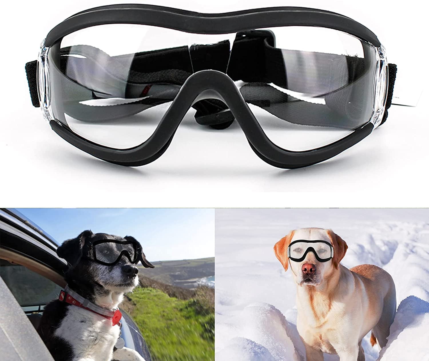 Super Cool Dog