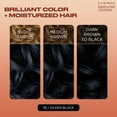 Clairol Textures & Tones Hair Dye Ammonia-Free Permanent Hair Color ...
