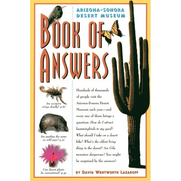 Arizona Desert Arizona