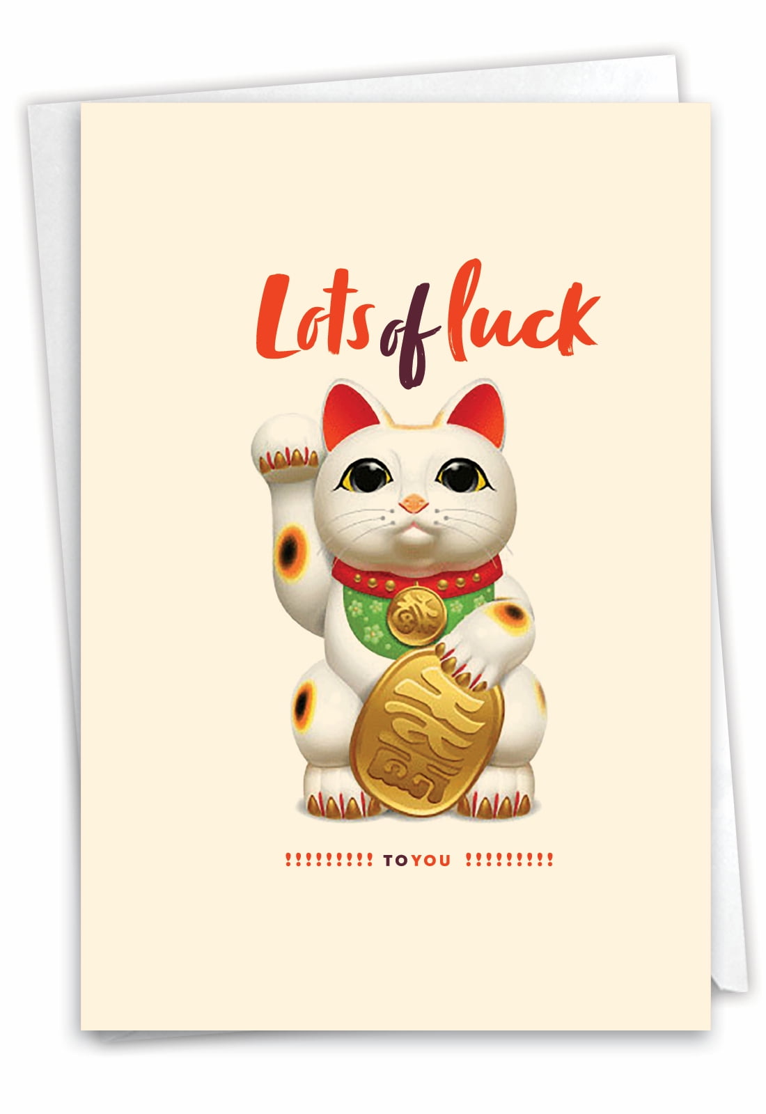 1 Funny Good Luck Card with Envelope - Lots of Luck Good Luck C7357GLG ...